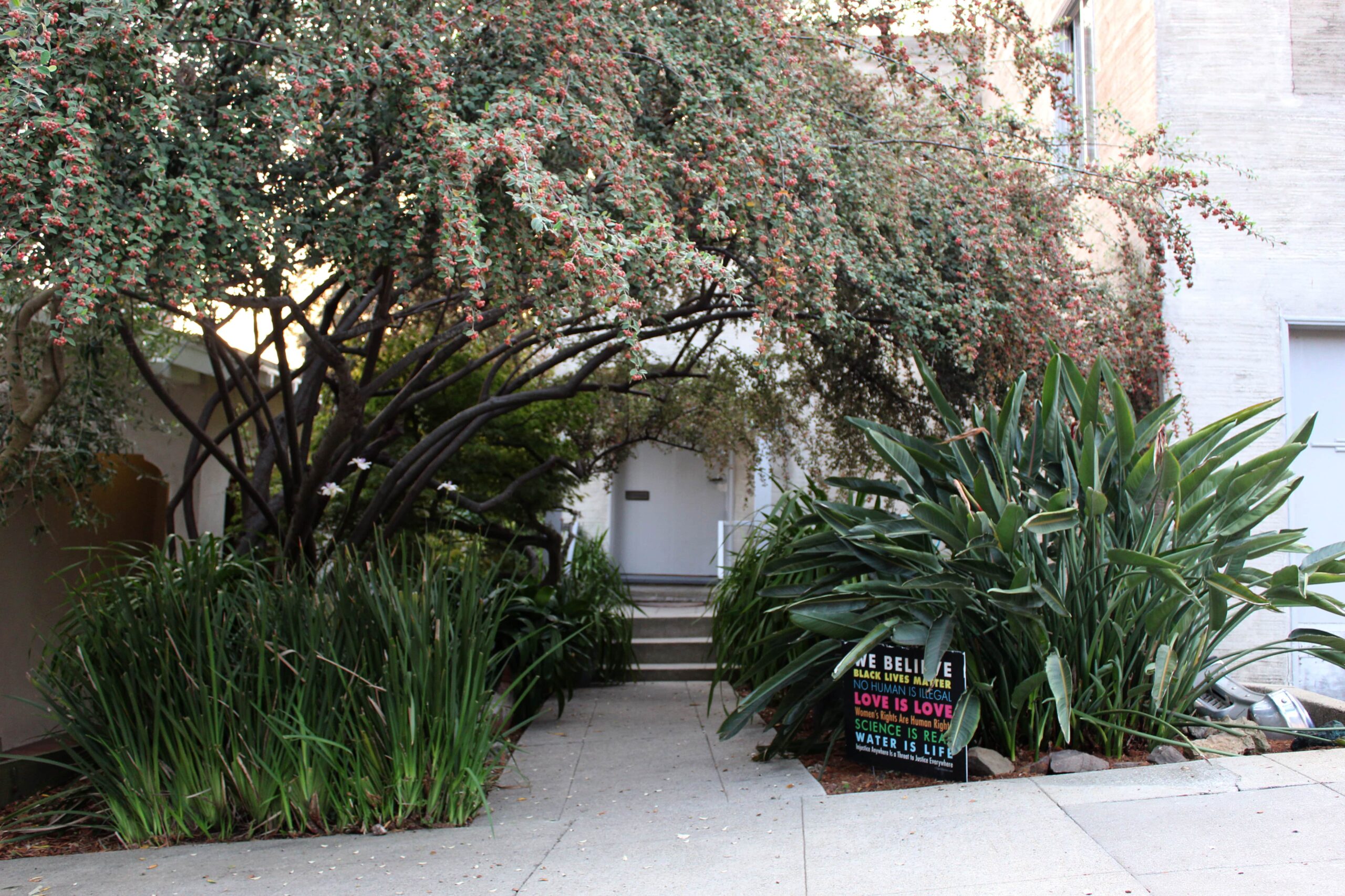 Murder in the Berkeley Hills | The Berkeley High Jacket