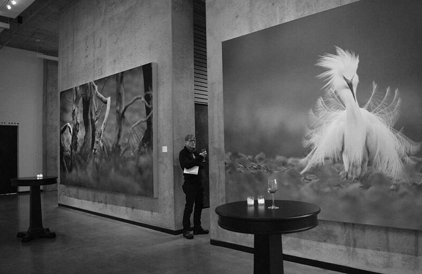 Exhibit Captures Beauty of Conservation — Berkeley High Jacket