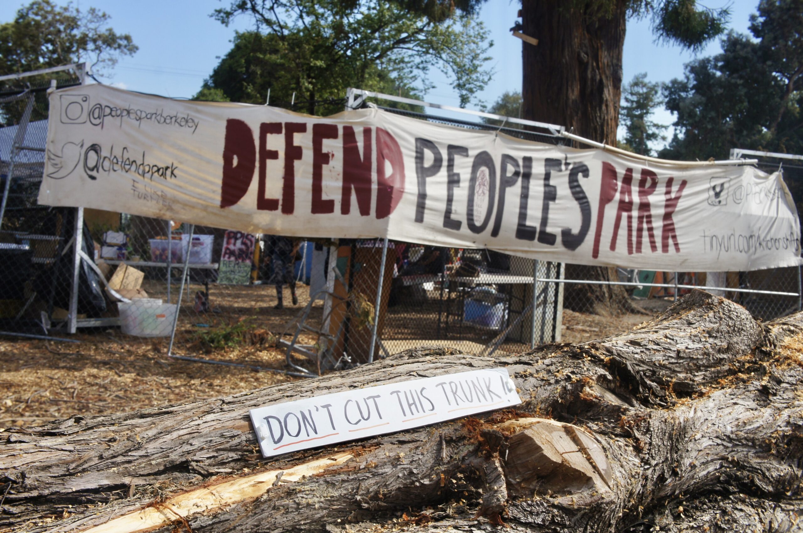 People’s Park must remain crucial pillar of Berkeley community ...