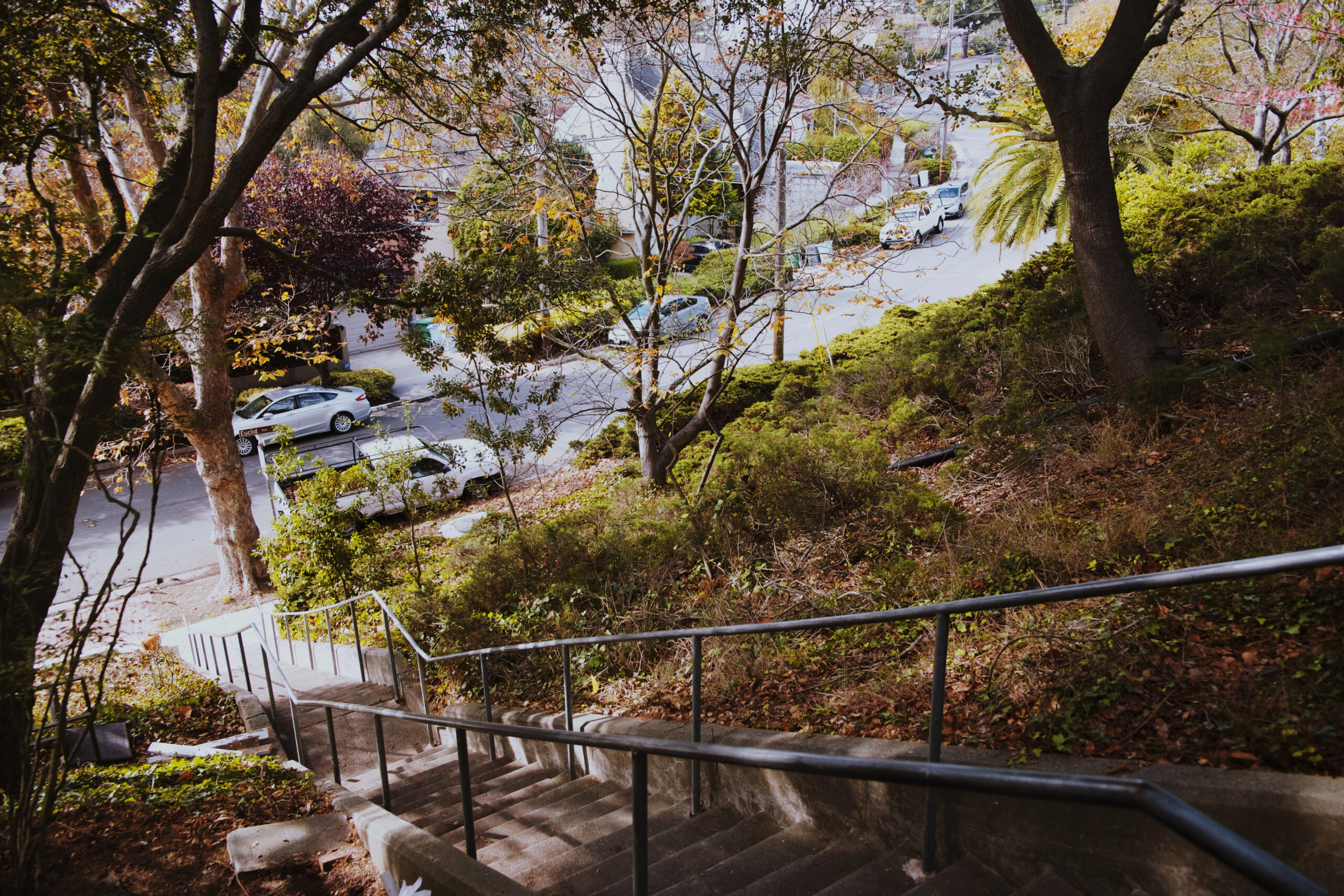 Best places: Worthwhile Berkeley hikes — Berkeley High Jacket