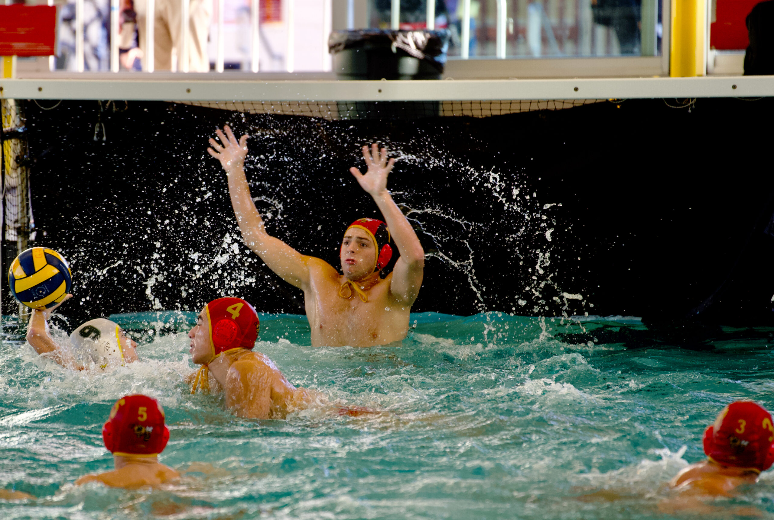 BOYS WATER POLO — Berkeley High Jacket